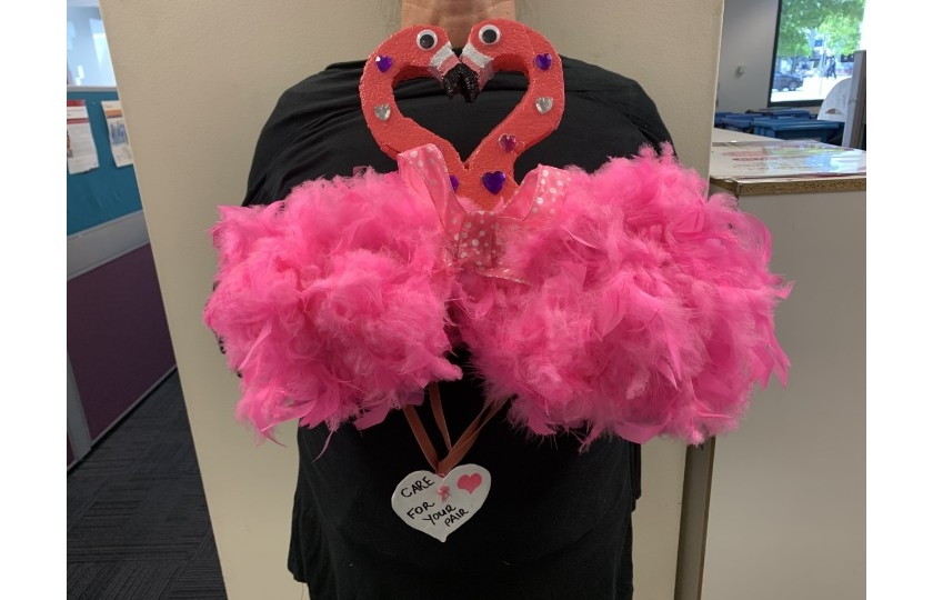 Canberra Hospital Foundation - BreastScreen ACT Decorate a Bra Competition